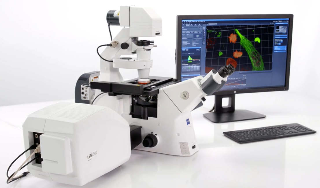 LSM 900激光共聚焦显微镜显微镜