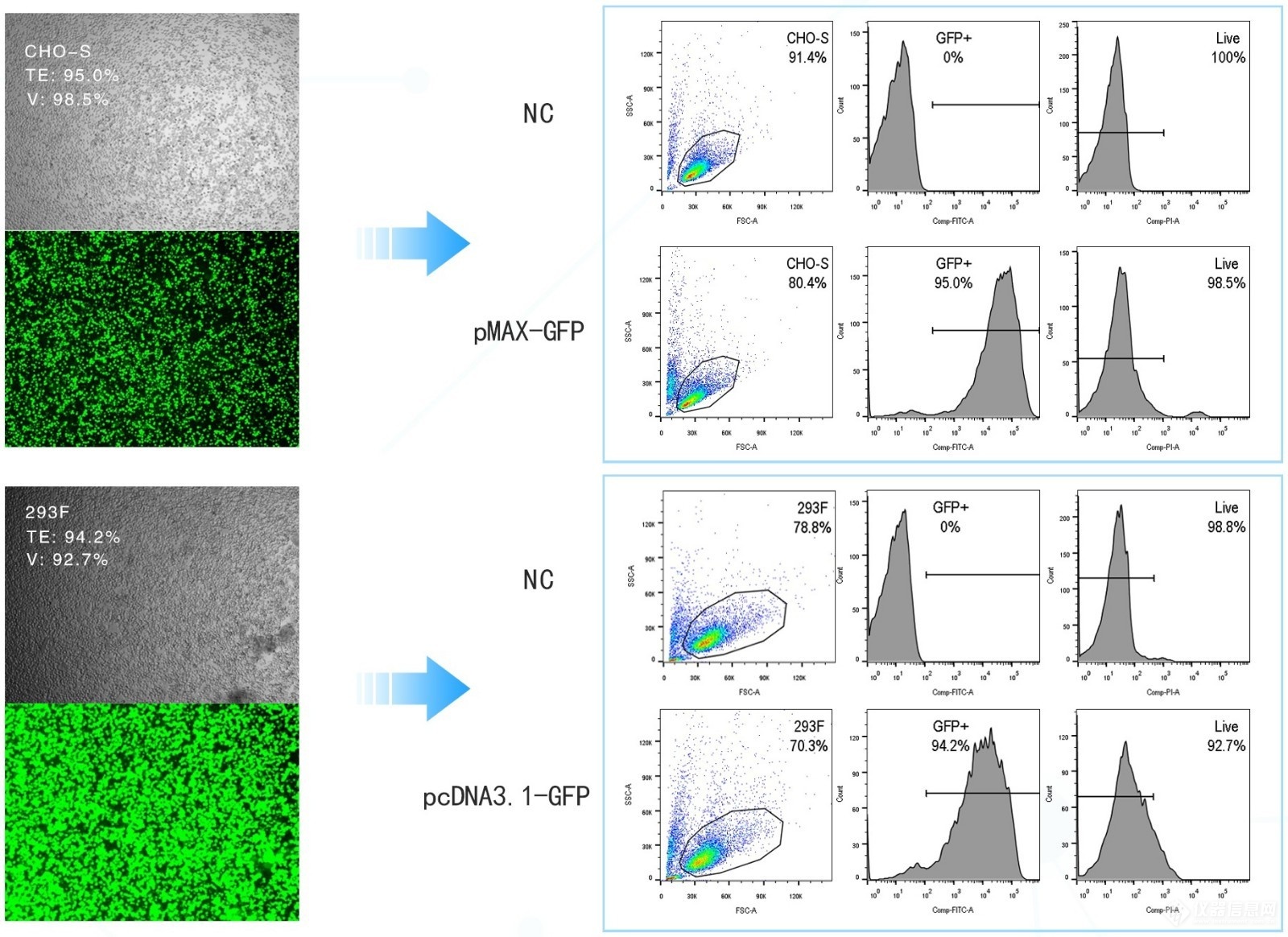 X-Porator F1 流式电转染仪