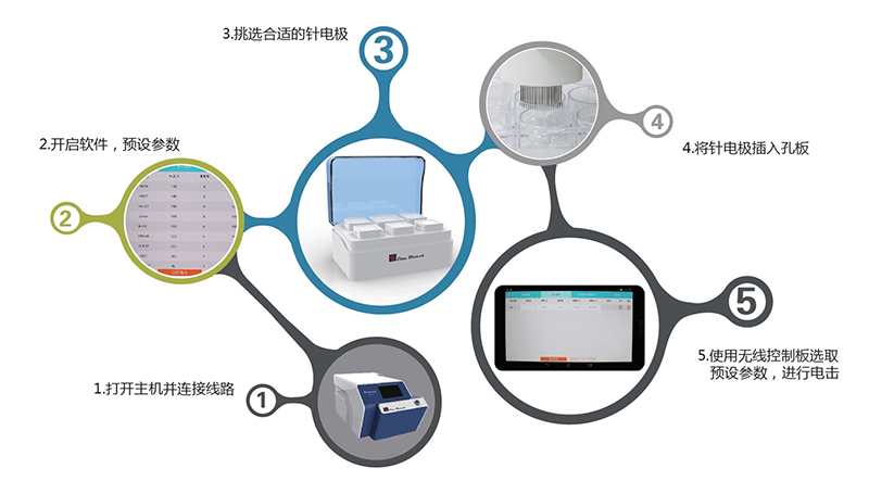 X-Porator H1 电转染仪