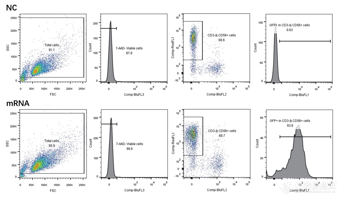 X-Porator H1 电转染仪