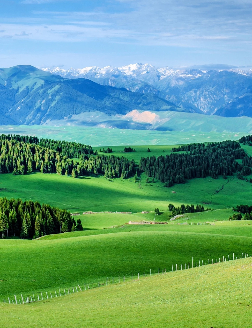 企业概况-哈萨尔乳业